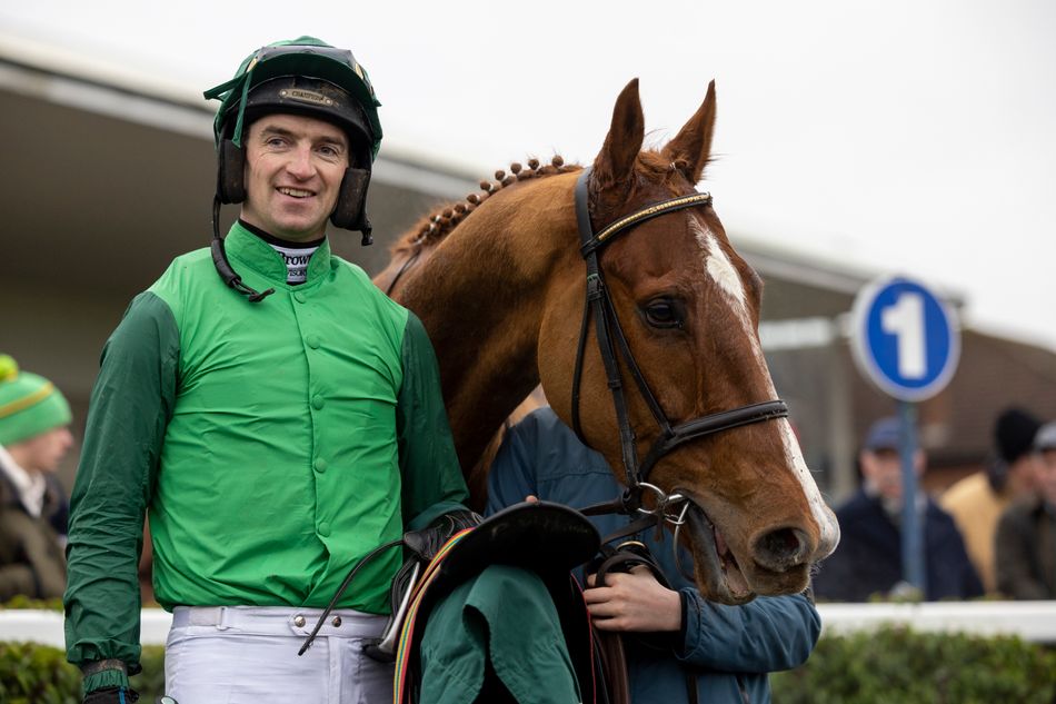 Bloodstock notebook: what to look out for at Cheltenham this week ...