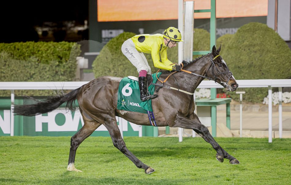 Shamardal's Royal Champion lives up to name with Neom Turf Cup heroics ...