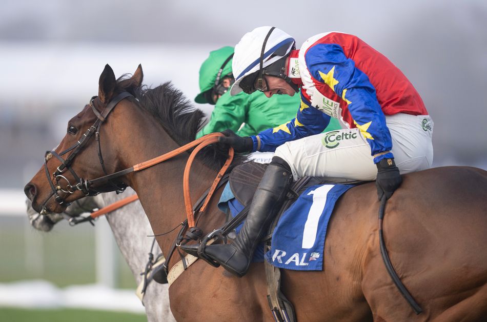 Gary Moore's Betfair Hurdle team down to two after Hansard is ruled out ...