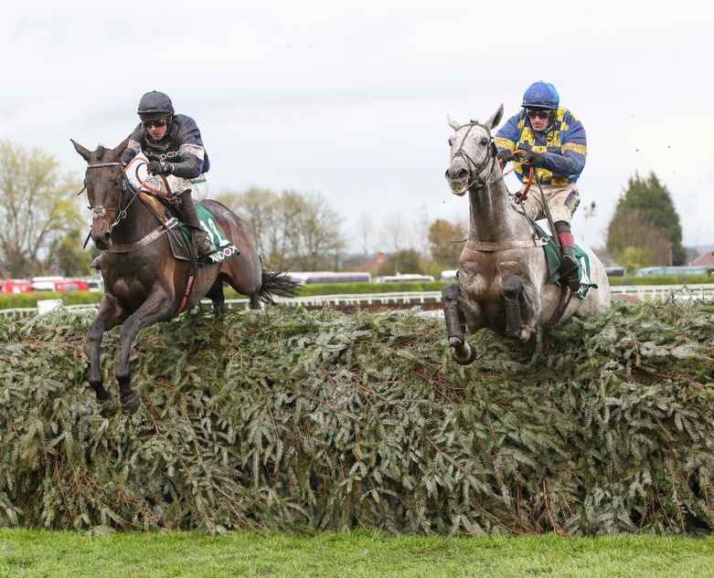 'He ticks a lot of boxes' - Greatrex plots route to 2024 Grand National ...