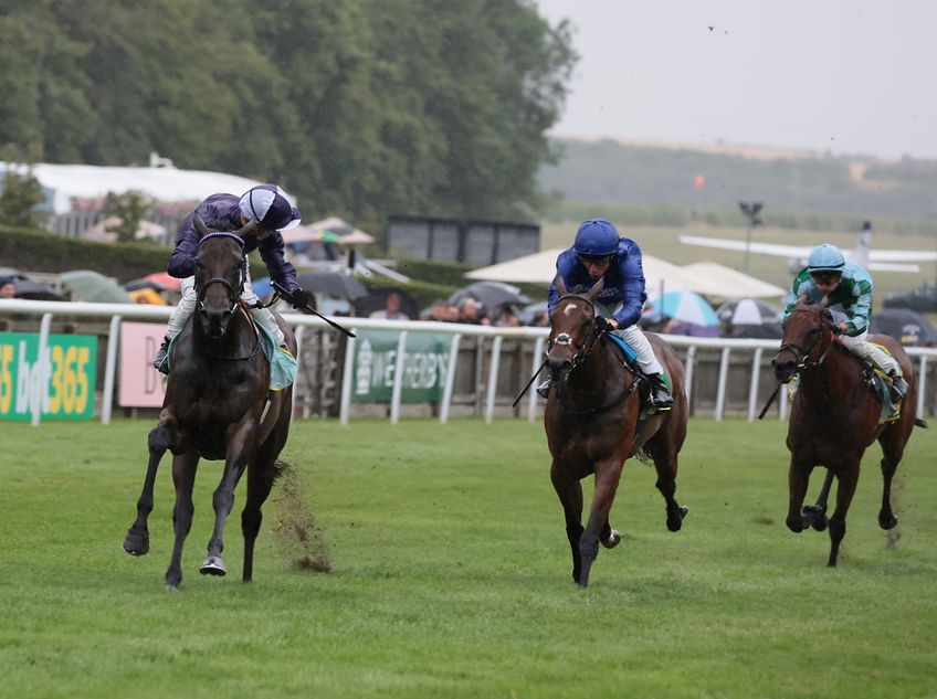 Amo Racing's Persian Dreamer the headline of 'brilliant' 1,910-1 four ...
