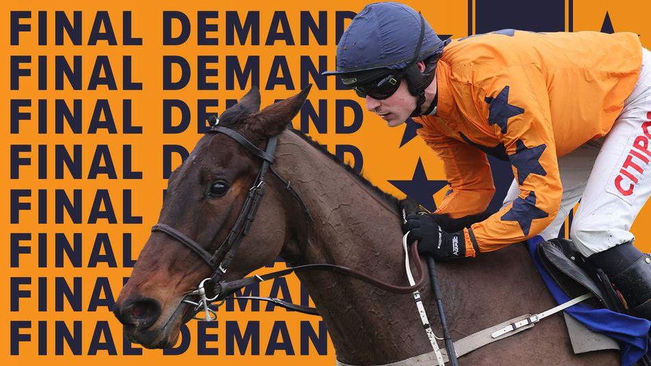'Paul has picked him' - Final Demand out to build on sparkling debut ...