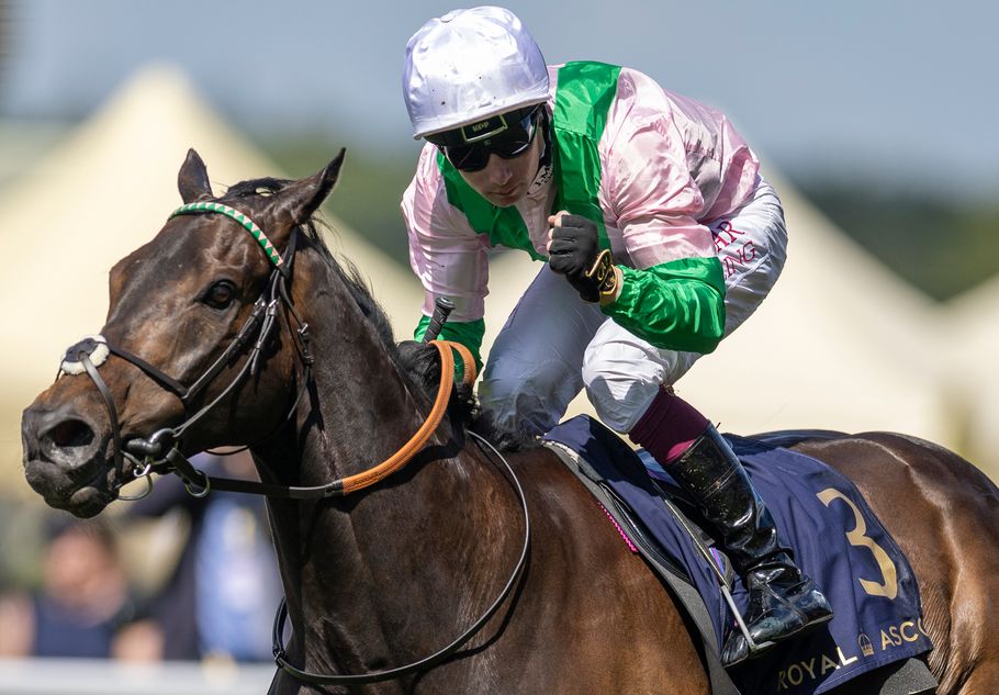 Oisin Murphy on his title aspirations: 'I don’t sit back and think ...