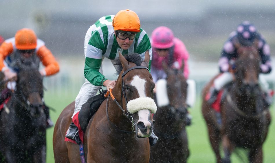 Four-year wait for a turf winner comes to an end in style for Peter ...