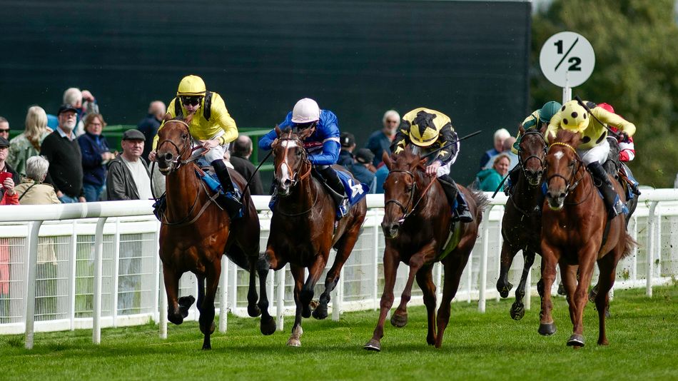 Ralph Beckett bangs in more winners as children's charity benefits from ...