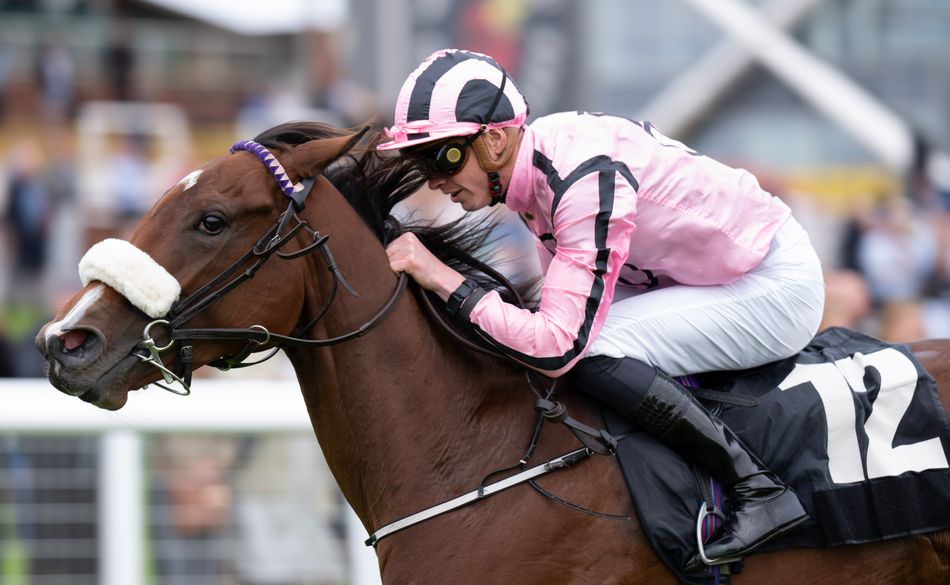 Top sprinter She's Quality dies after suffering injury at Breeders' Cup ...