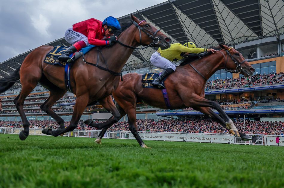 Frankel marching onwards into history with emphatic second sires ...