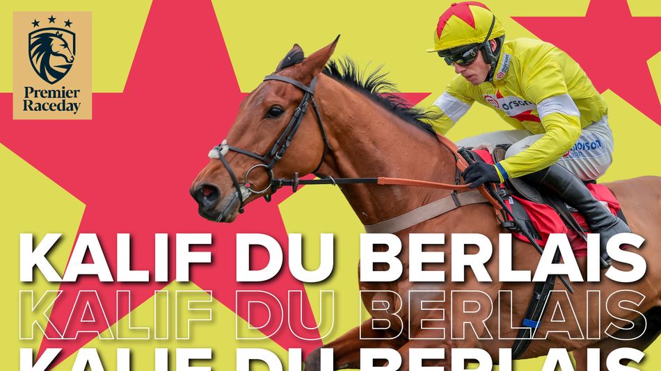 'We like him a lot' - can future Gold Cup horse Kalif Du Berlais live ...