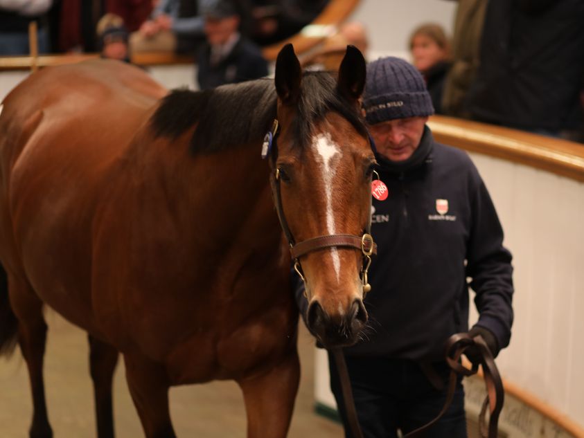 'She's everything we want' - Juddmonte see off Coolmore and Godolphin ...