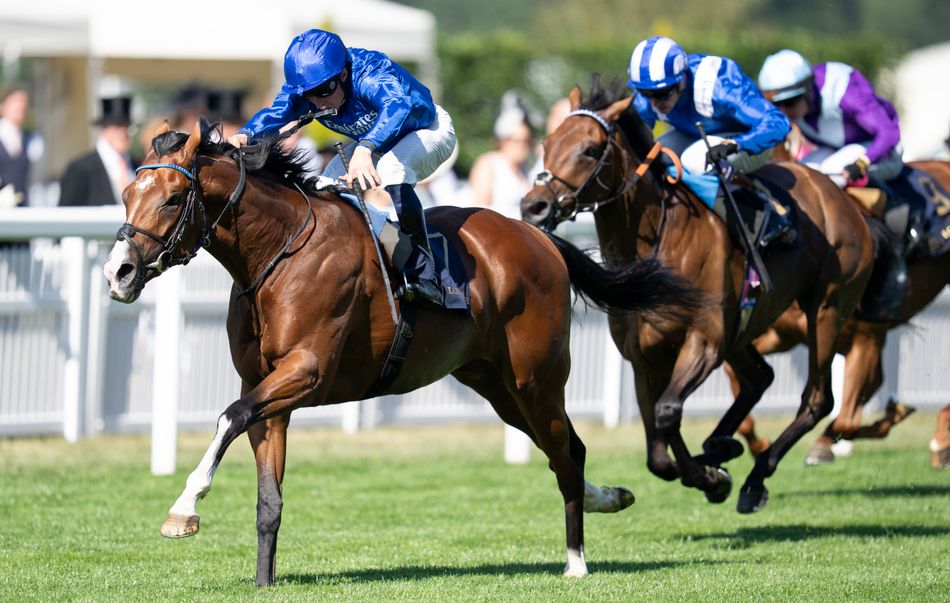 Sizzling spell for Night Of Thunder continues as Ombudsman thunders to ...