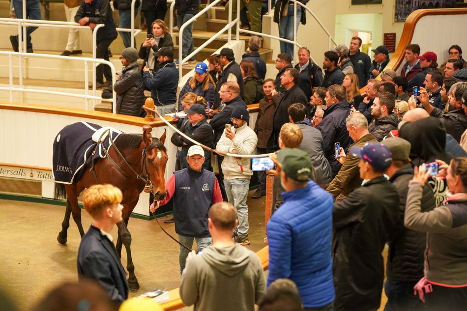 Frankel sires 40th Group 1 winner as 1.3m guineas Tattersalls record ...