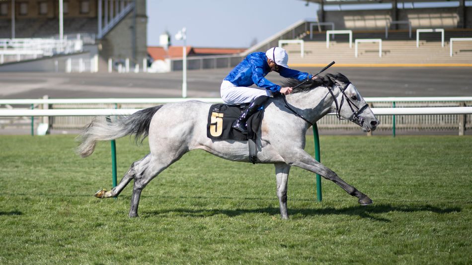 'He looks the one to beat based on his best form' - confidence behind ...