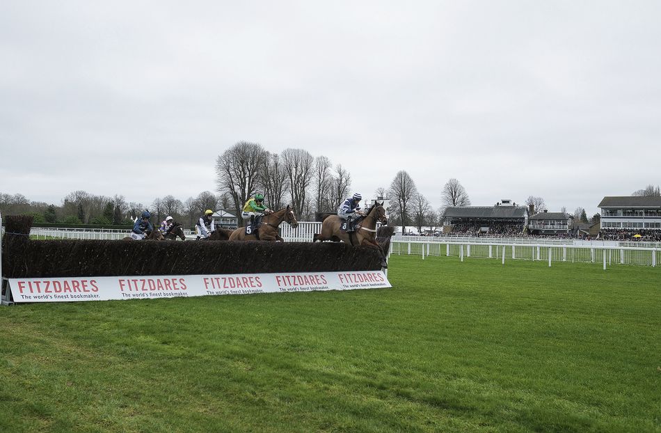 'Any turf track bringing jump racing back has to be a positive ...