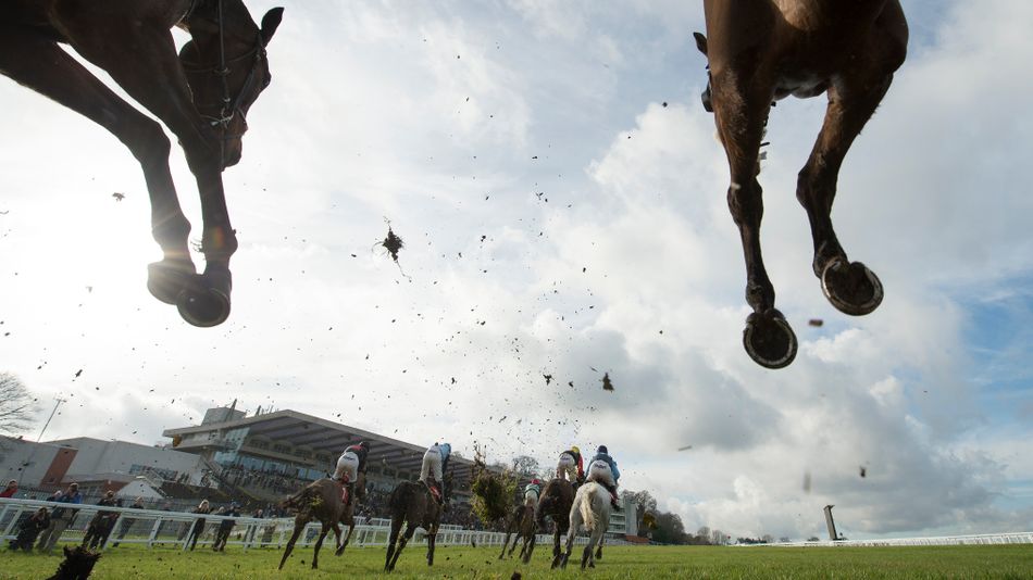 Might Bite's owner Simon Philip joins the Jockey Club board of stewards ...
