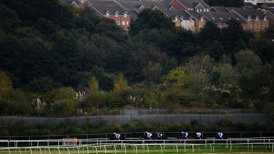 BHA to launch investigation following deaths of four horses at Newton ...