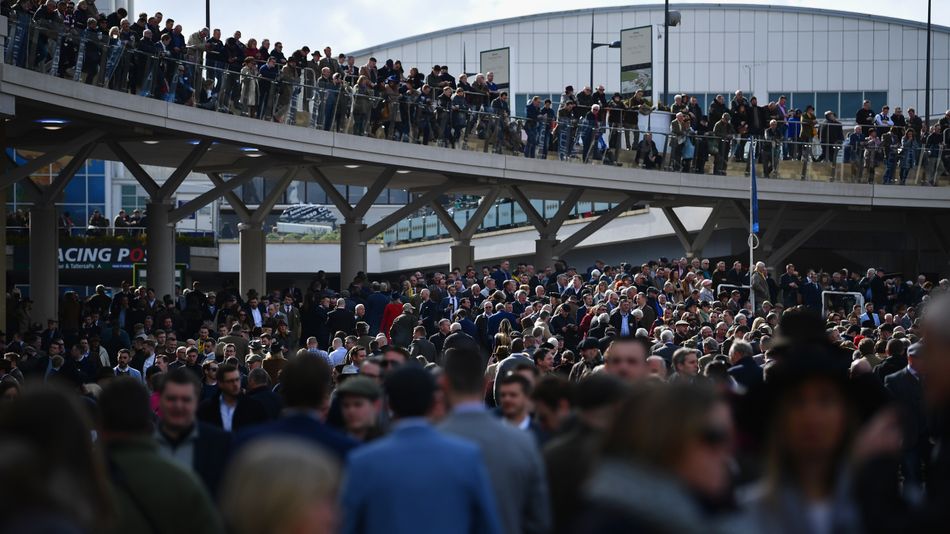 Professional punter backs Andrew Black's 'no-brainer' proposal for new ...