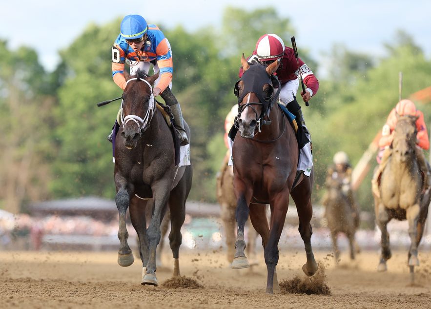 Multiple Grade 1 winner and newcomer Mindframe headlines Claiborne's ...