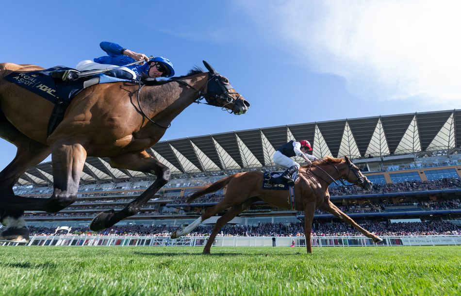 Kyprios is king of the stayers again as he regains his Gold Cup crown ...