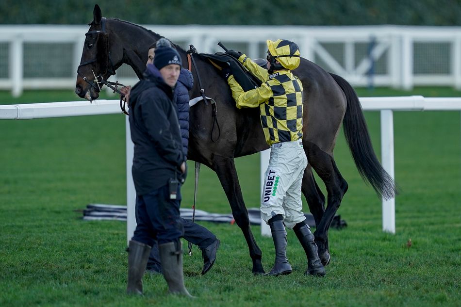 Confirmed runners and riders for Constitution Hill's return in the ...