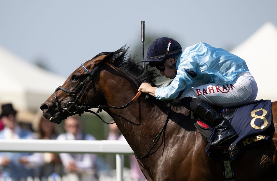 Kanor.com i am an older dude in the lifestyle in my fifties