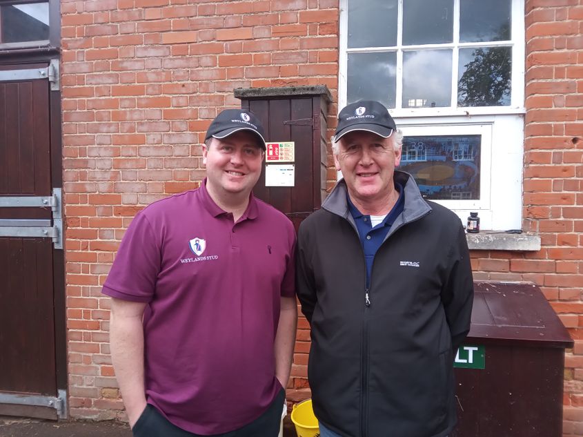 More than a shade of Limato about Weylands Stud's Book 1 offering ...