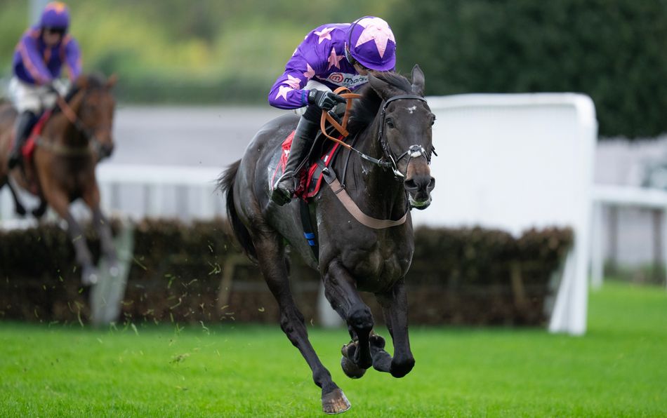 'He's grand and has done everything I've asked of him' – is Handstands ...