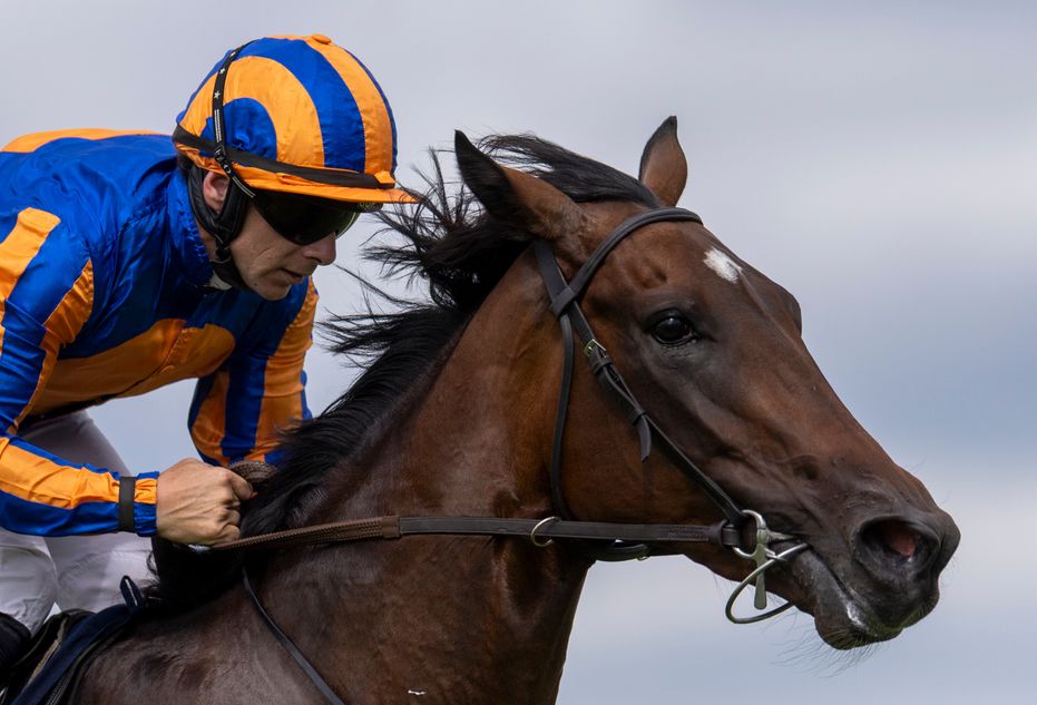 'He's going to improve plenty' - classy Daytona impresses in inaugural ...