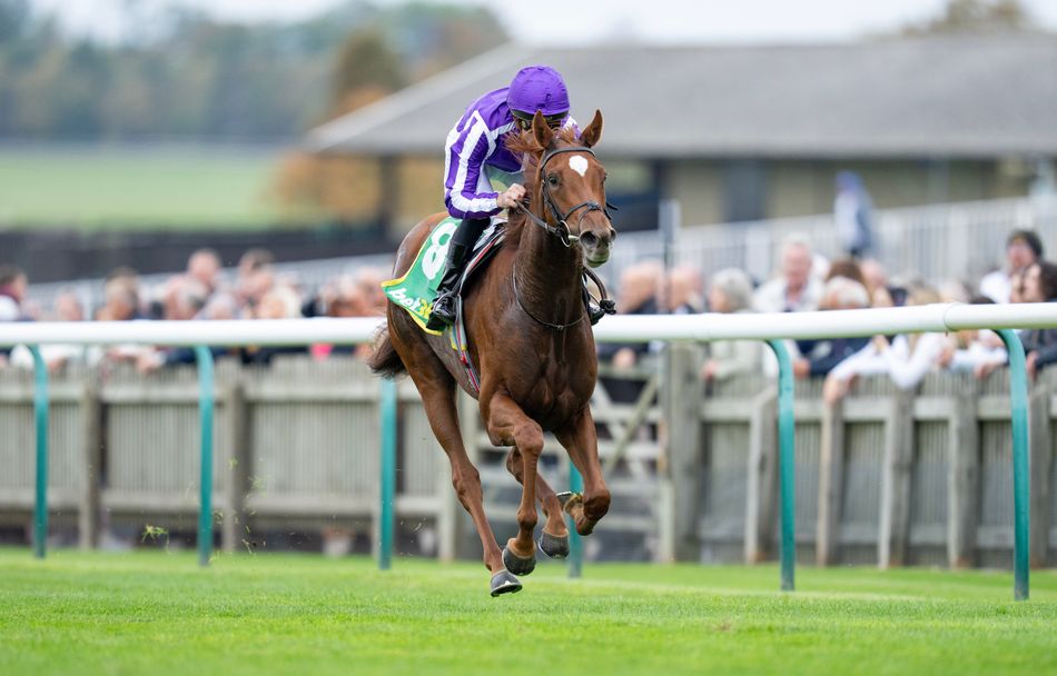 Leading British and Irish challengers drift following Breeders' Cup ...