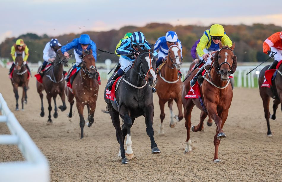 20-1 into 15-2: gamble pays off on Onesmoothoperator in November ...