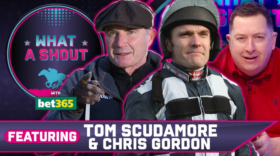 Watch: 'Shishkin is NOT a two-mile horse' - Chris Gordon and Tom ...