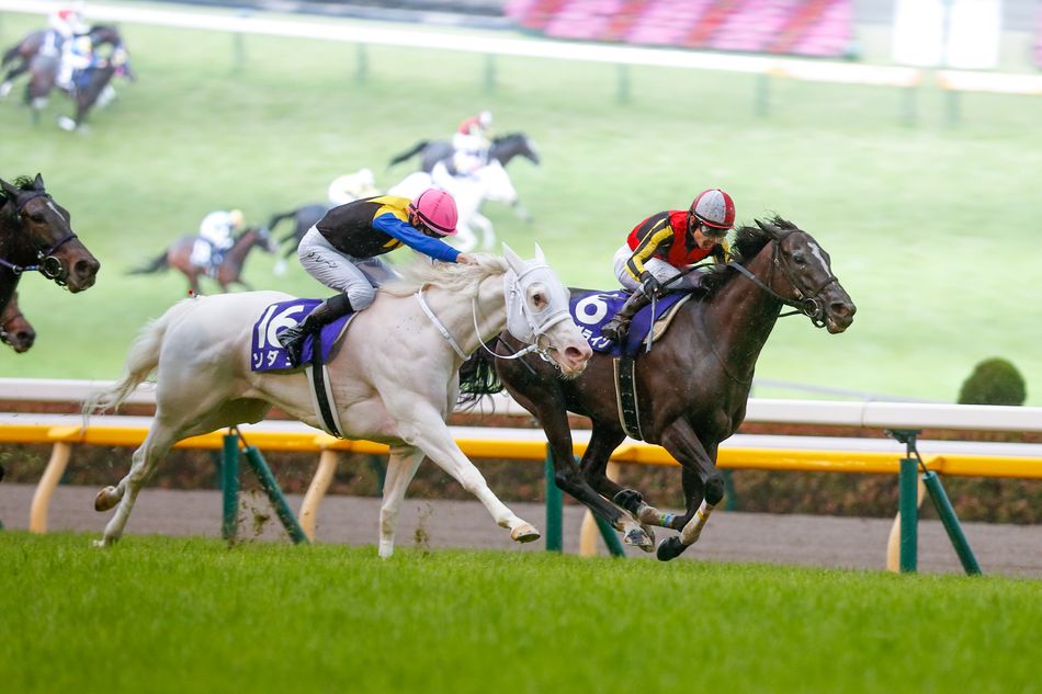 Kizuna mare Songline hits the spring heights again with battling ...