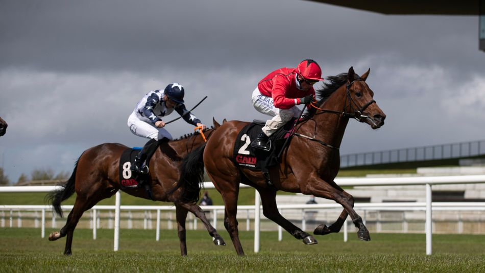 'We’re delighted with how he's been received' - Capital Stud's new ...