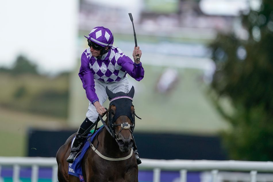 Dullingham Park Stud fees unveiled for 2025 with Shaquille's first ...