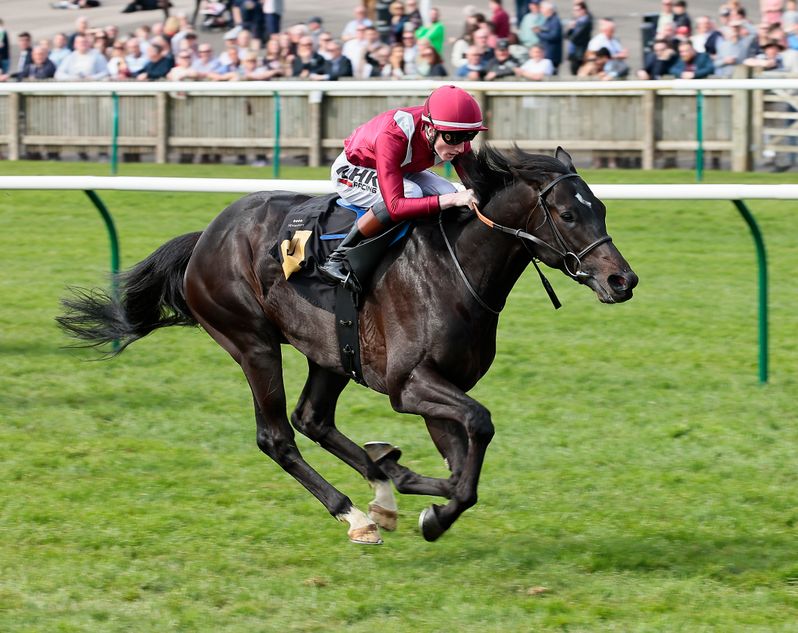 'Andrew’s training set-up might help him' - Balding the beneficiary as ...