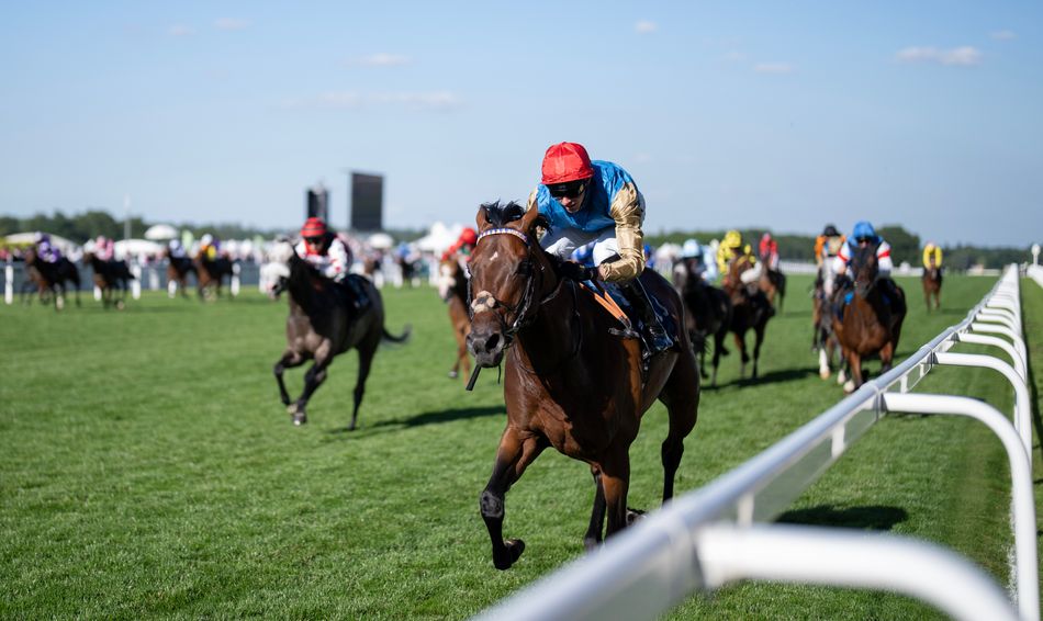 Favourite English Oak dominates Buckingham Palace Stakes for Ed Walker ...