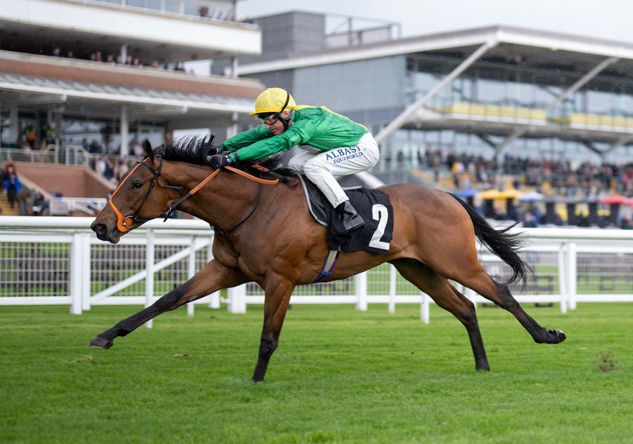 'It's the best two-year-old race of the season so far - but mine should ...
