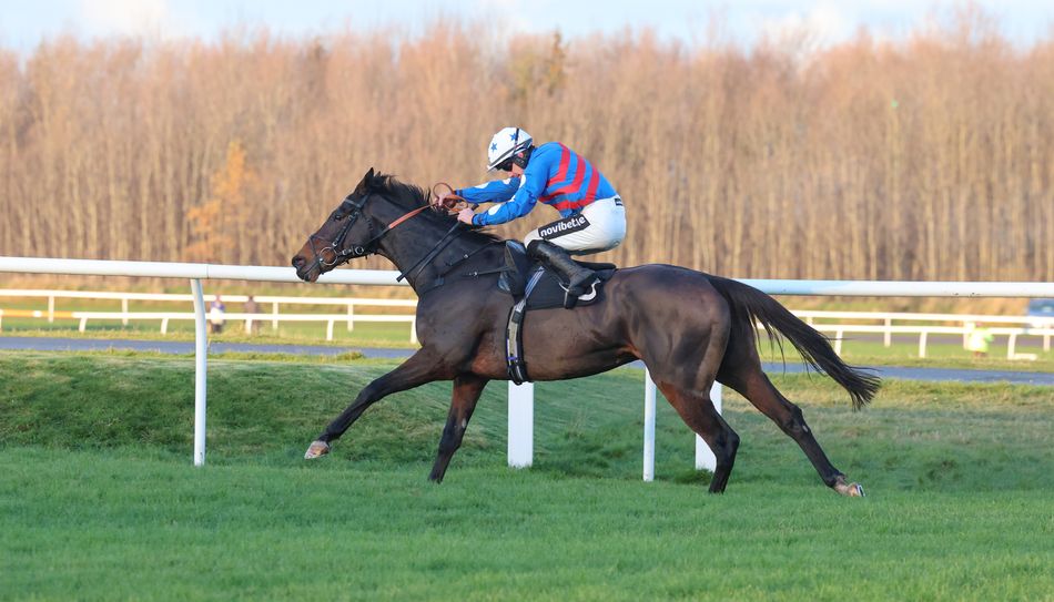 'He's got a good one in him' - bigger things await for Half Shot after ...
