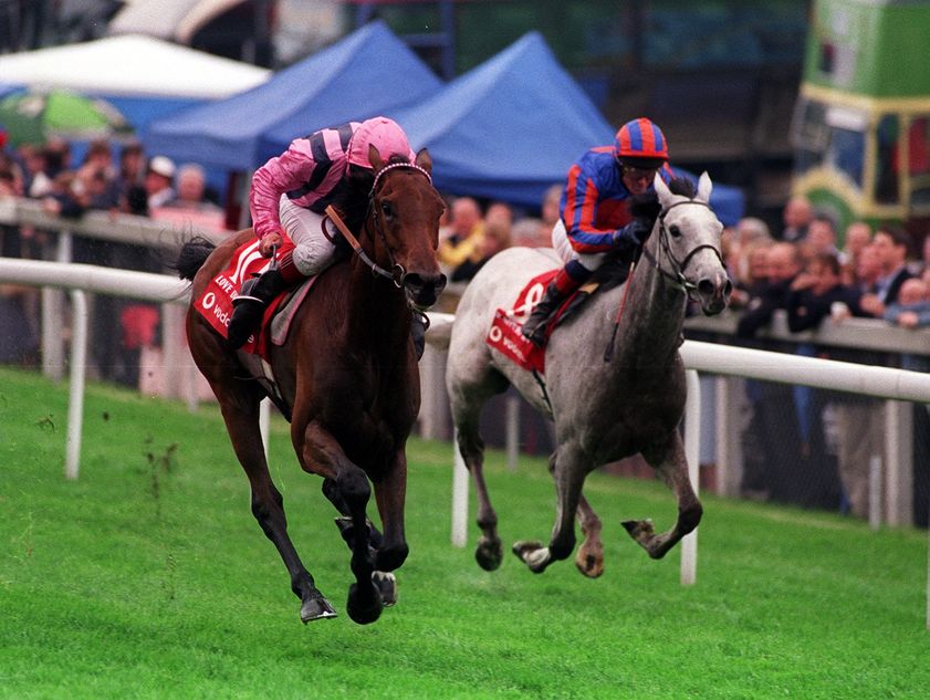 Oaks heroine and Lordship Stud foundation mare Love Divine dies aged 28 | Racing Post