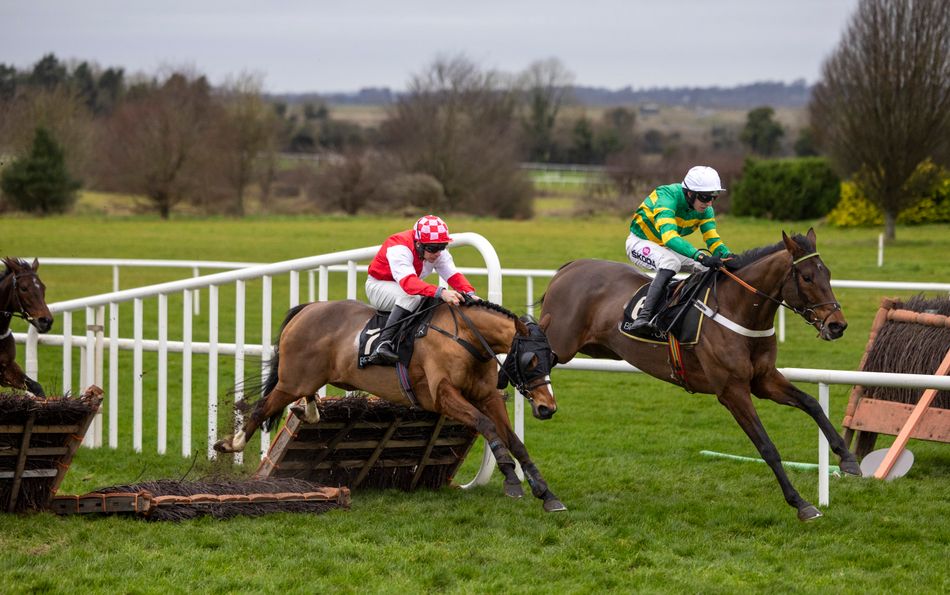 Dublin Racing Festival next for Eddie Harty's newest JP McManus star ...