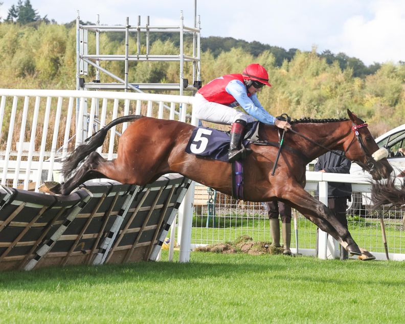 Hayleysummerss nude video if you are in the hunt for the