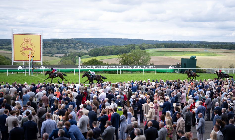 'It needs to be more than just a short-term fix' - Goodwood chief ...