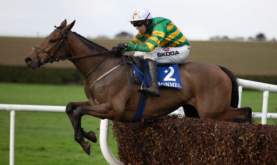 Hot favourite Limerick Lace bashes the bookies - and the second-last ...