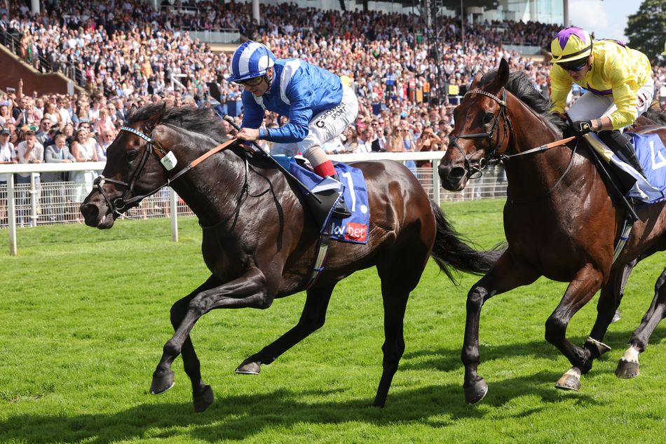 Improving colt Alflaila soars to York Stakes victory for Owen Burrows ...