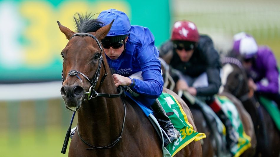 'Privileged to be standing a champion like him' - Native Trail to start ...