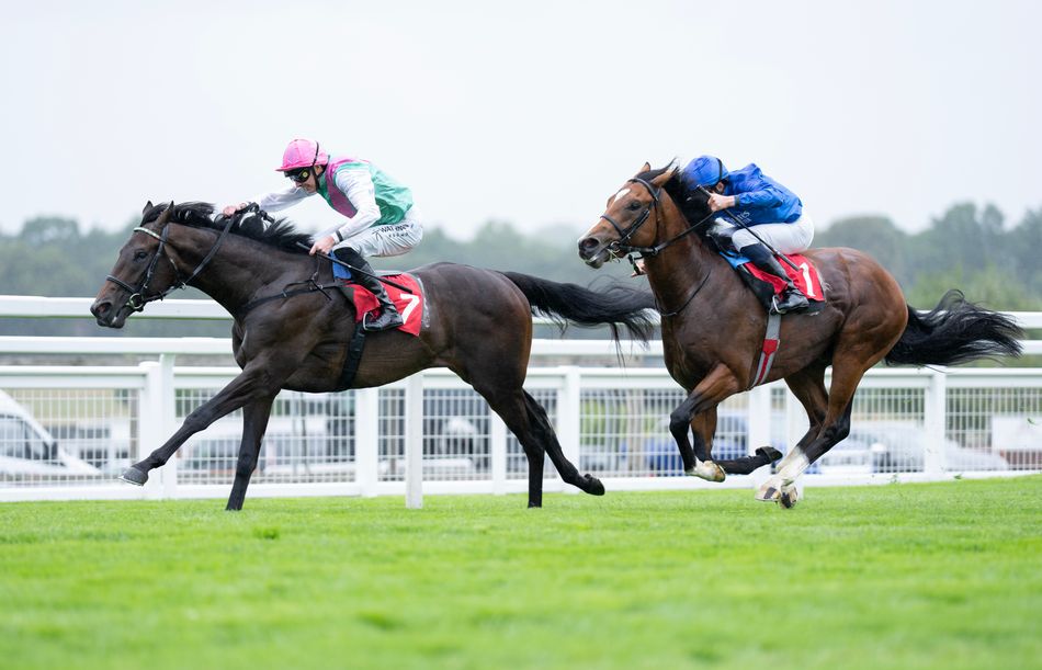 John Gosden reveals new plan for exciting juvenile Publish after ...