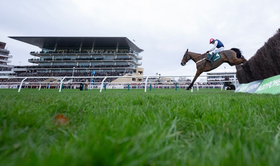 Shakem Up’Arry shines at Cheltenham as Stage Star fails to fire under ...