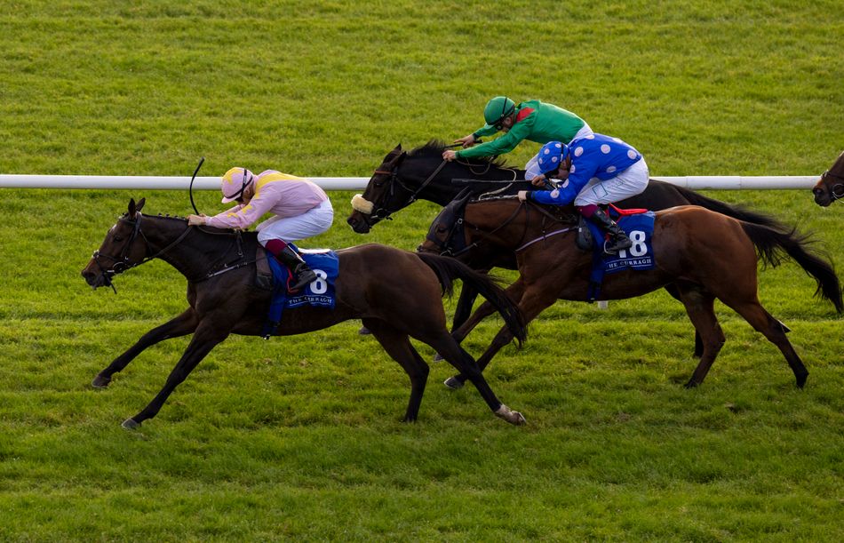 Wayne Hassett gains vital winner in apprentice title race as Pachmena ...