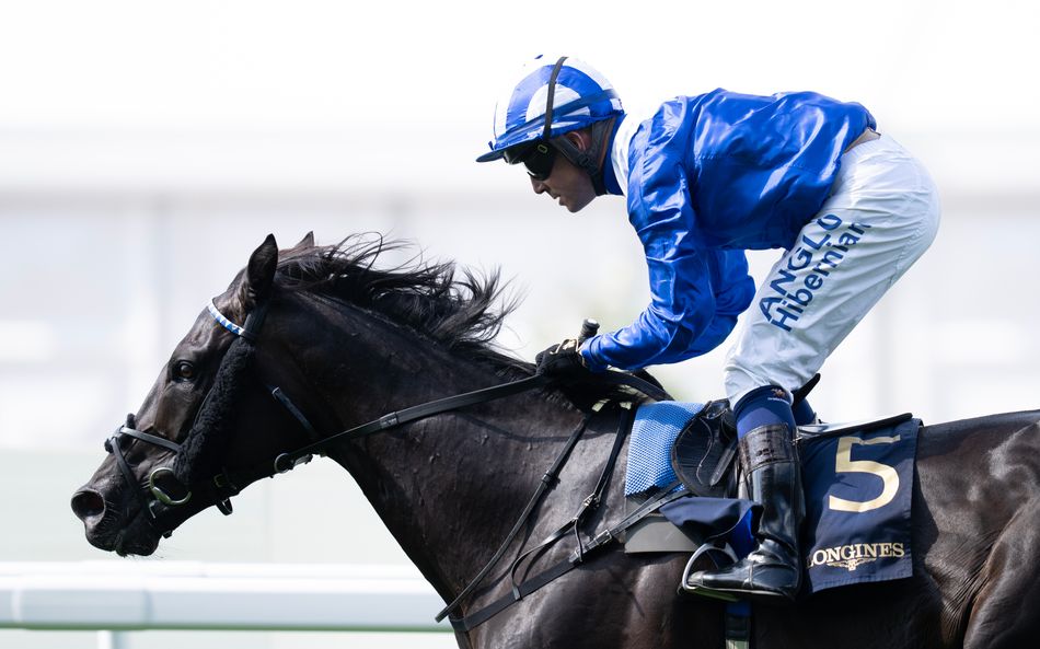 John Gosden 'looking towards' Champion Stakes for Juddmonte ...