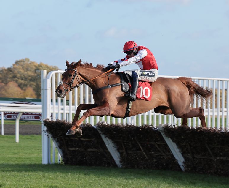 'She did what we expected' - Queens Gamble could head straight to ...