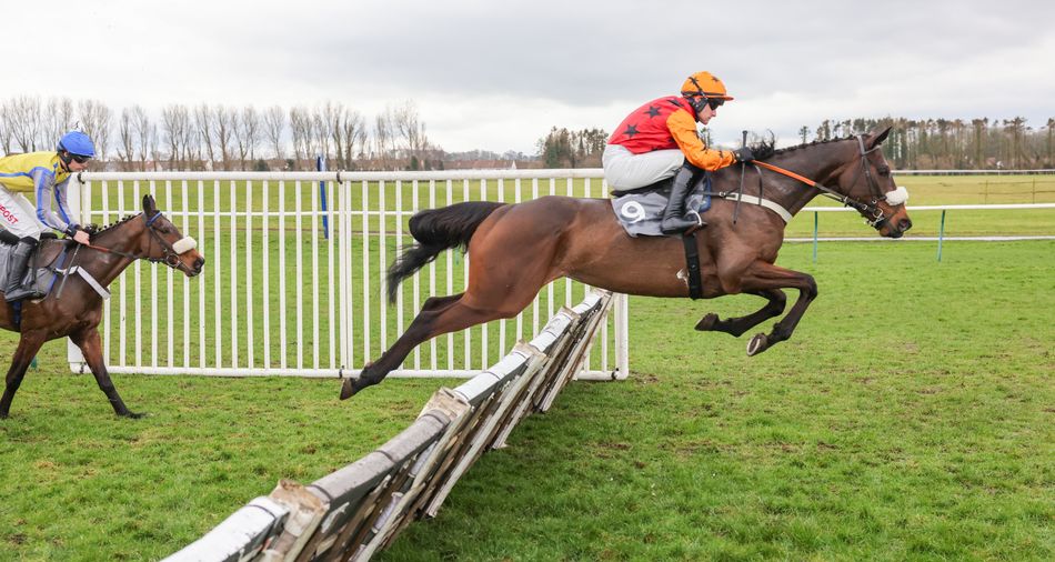 Nick Alexander excited for chasing future with My Kiwi Girl after ...